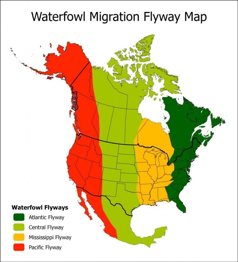 NAWCC | Waterflow Migration Flyway Map
